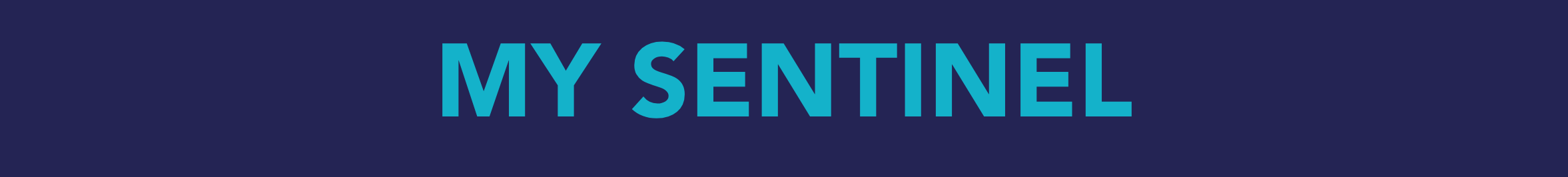 Sentinel Procurement Solutions